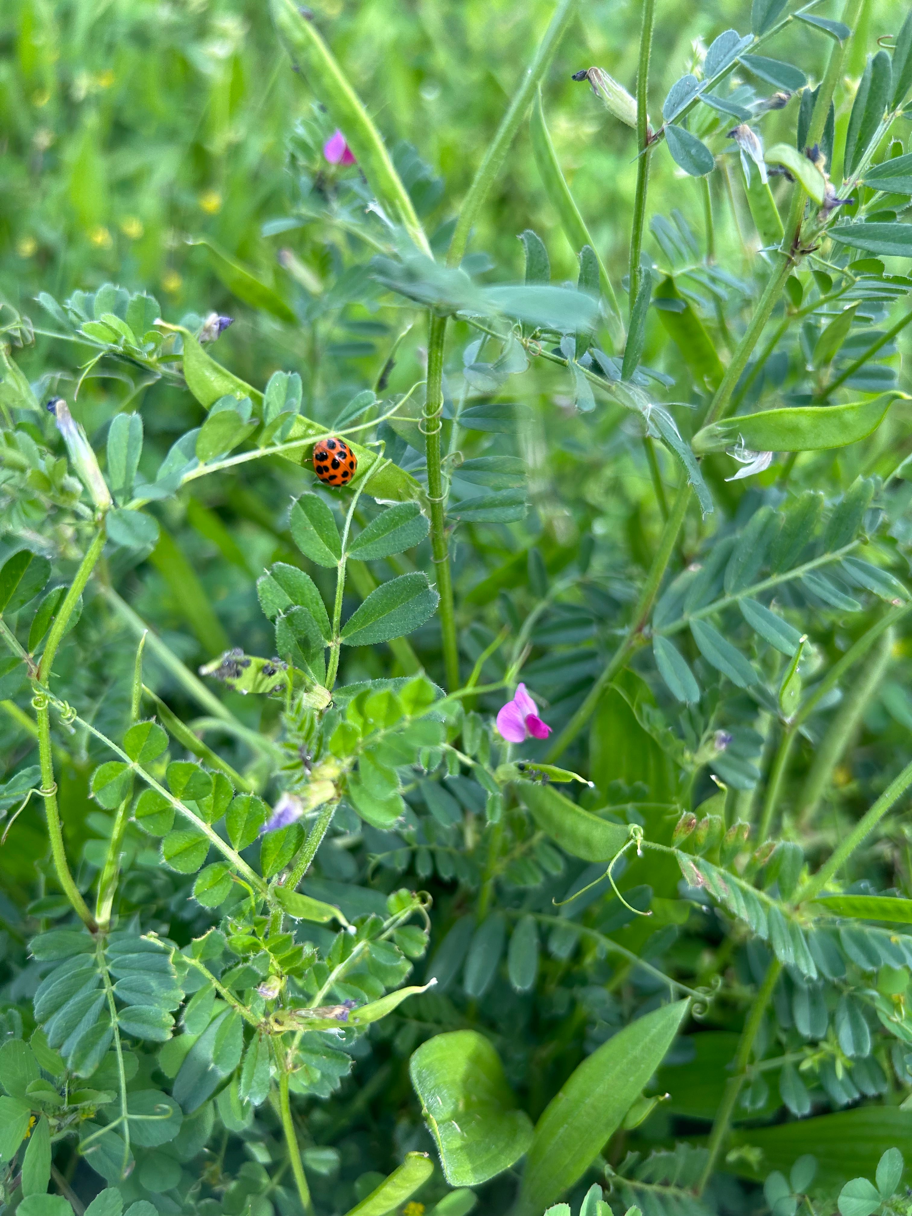 コツコツ開運術！シンクロをキャッチする秘訣 – 縁起屋dotu